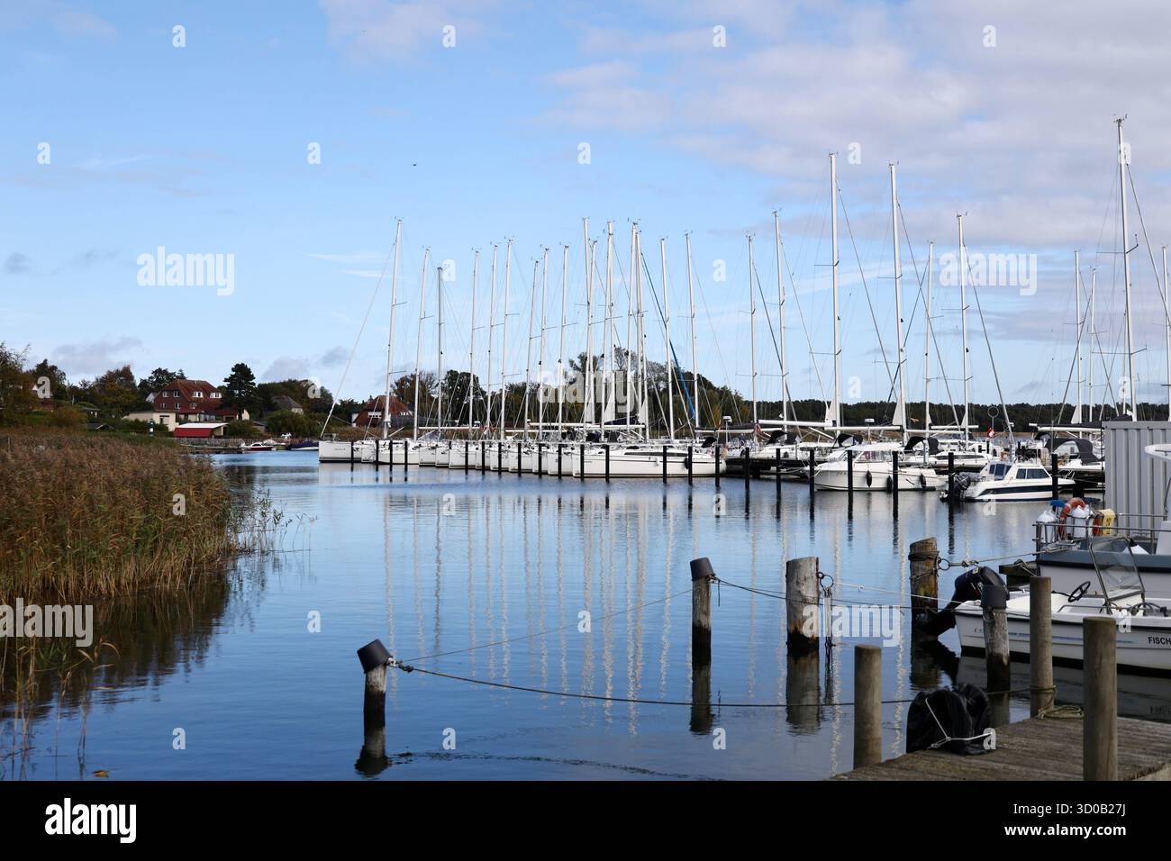 Insel Ruegen 12.10.2025, Breege auf Ruegen, Segelboote liegen im Hafen ...