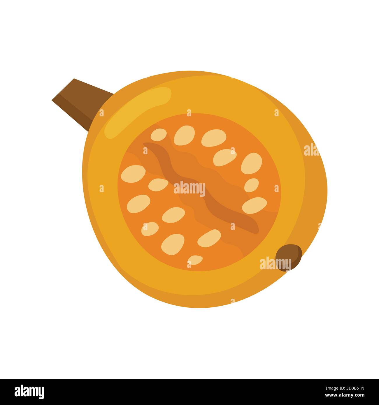 Half ripe pumpkin seeds Cut Out Stock Images & Pictures - Alamy