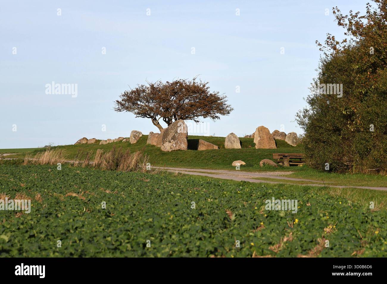 Insel Ruegen 13.10.2025, Altenkirchen auf Ruegen, Grosssteingrab ...