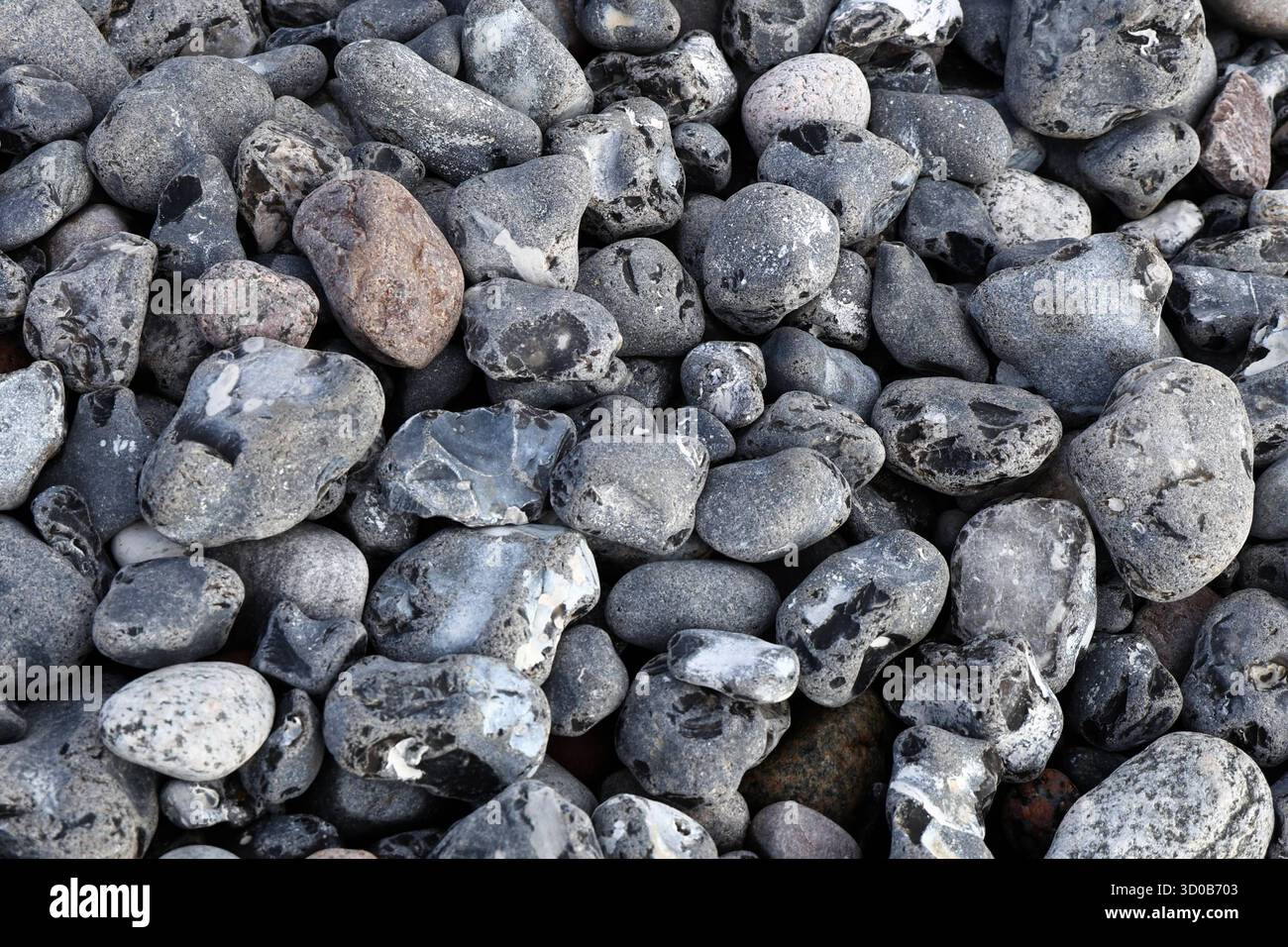 Insel Ruegen 14.10.2025, Vitt auf Ruegen, Feuersteine / Flint am Strand ...