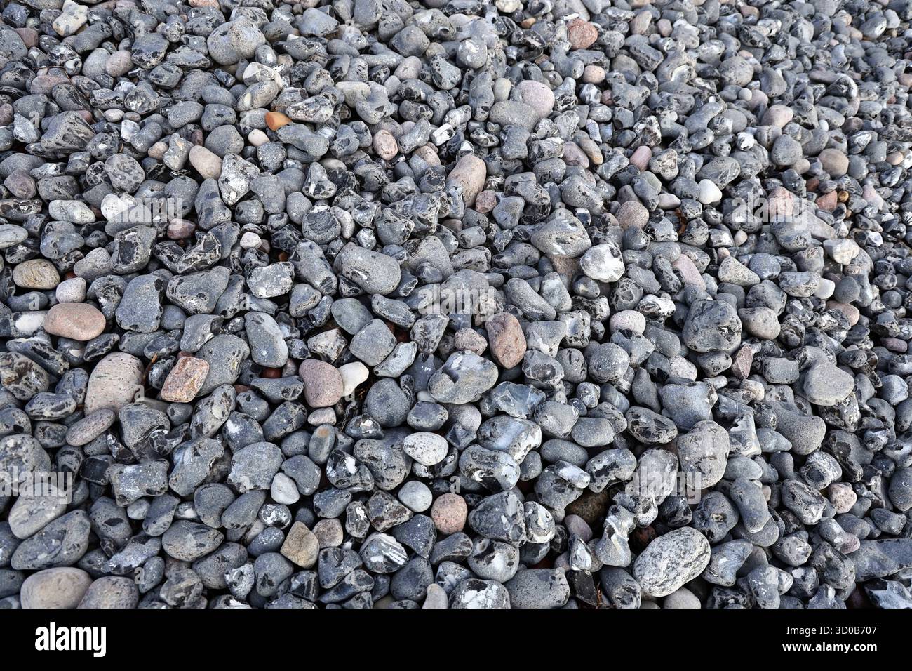 Insel Ruegen 14.10.2025, Vitt auf Ruegen, Feuersteine / Flint am Strand ...