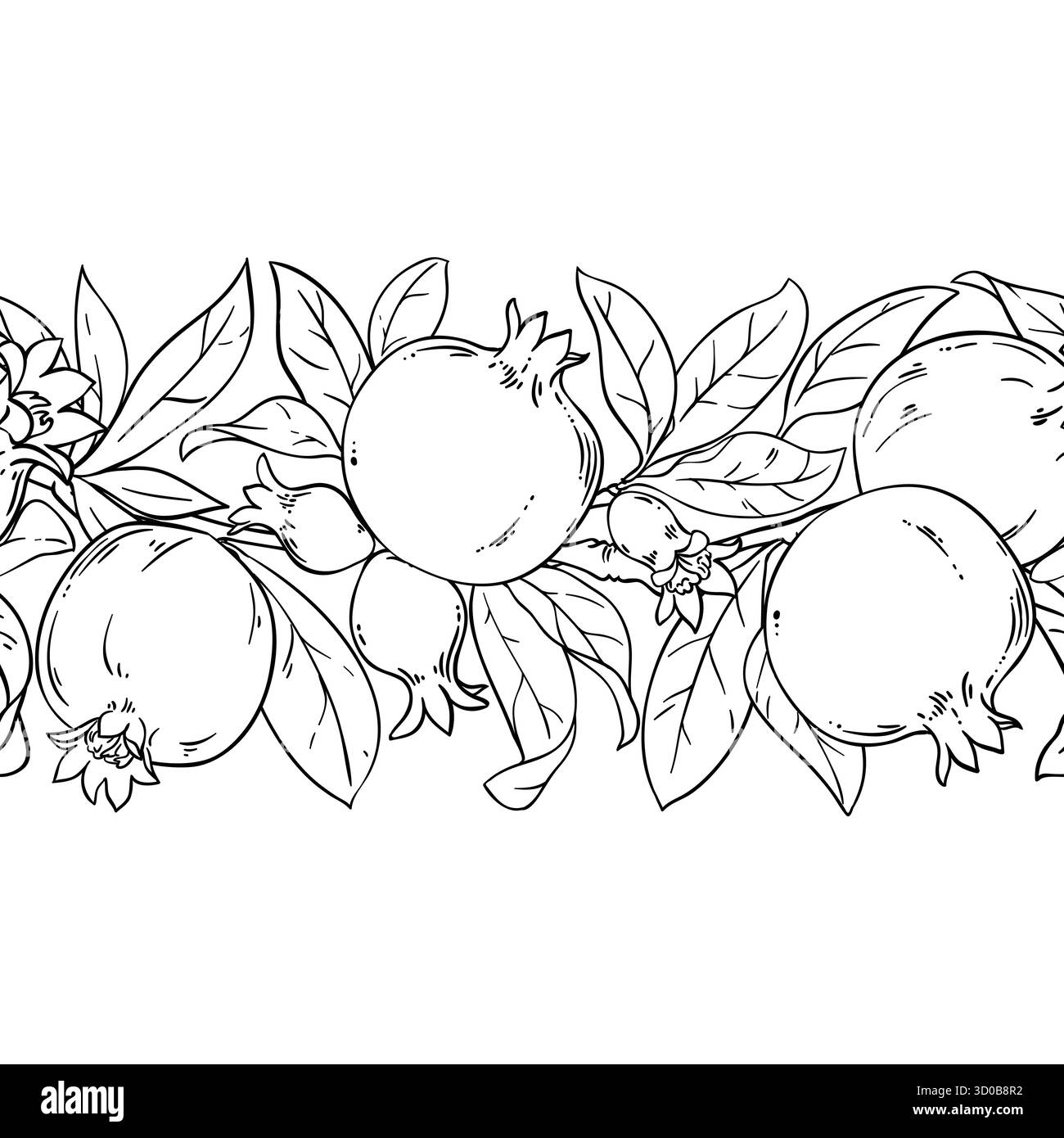 Pomegranate Branch with Flowers, Fruits and Leaves Outline Horizontal ...