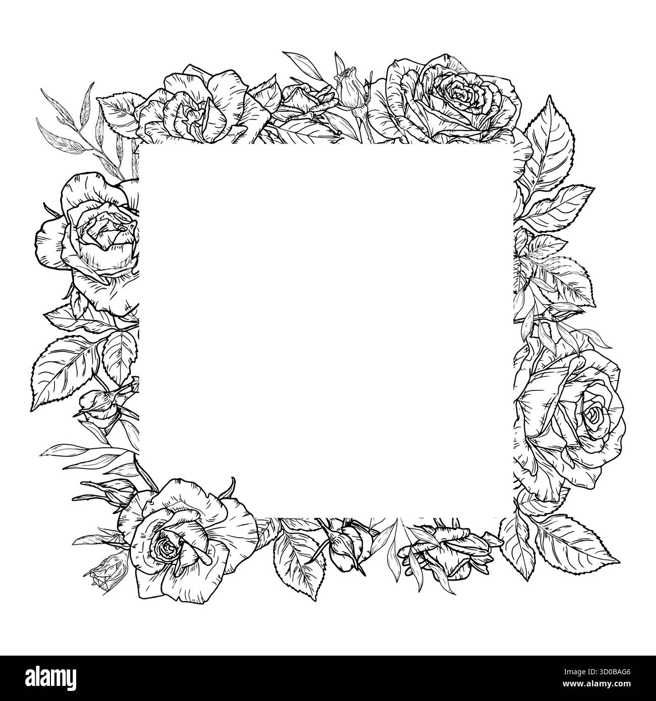 Leaves on frame Black and White Stock Photos & Images - Alamy