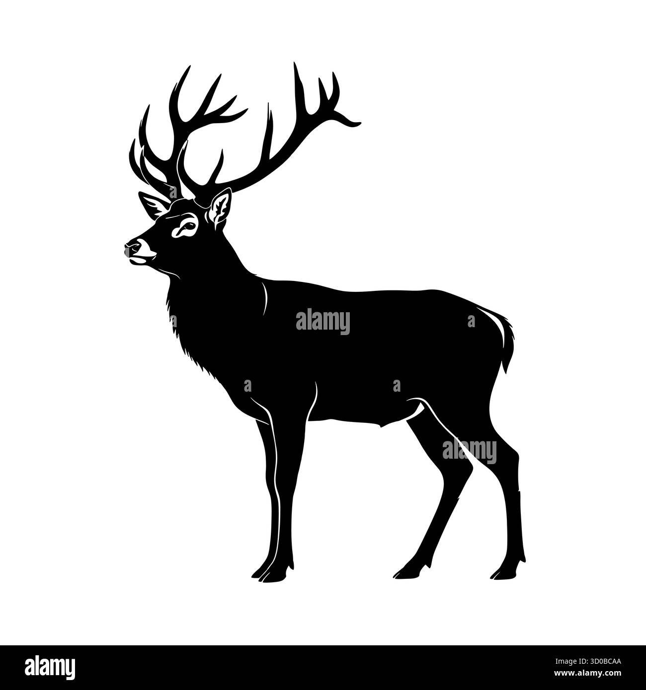 View deer in nature Cut Out Stock Images & Pictures - Alamy