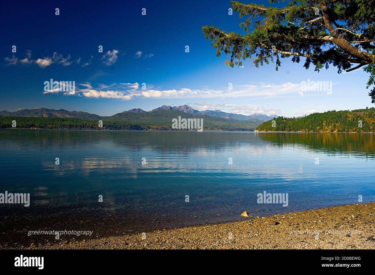 Tacoma power house hood canal hi-res stock photography and images - Alamy