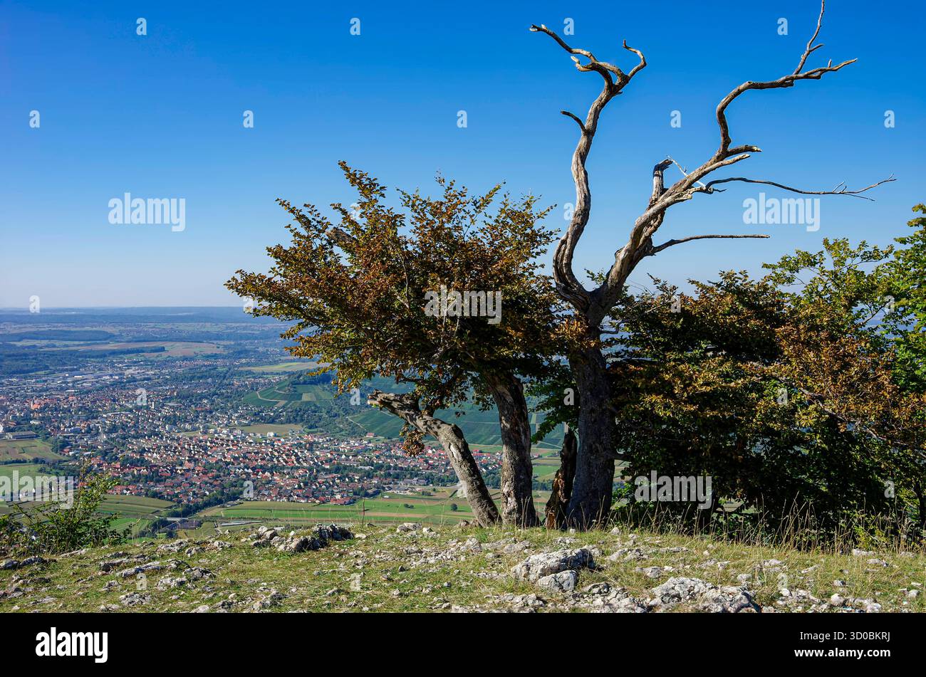 Schwäbische Alb bei Metzingen-Glems, Baden-Württemberg, Deutschland ...
