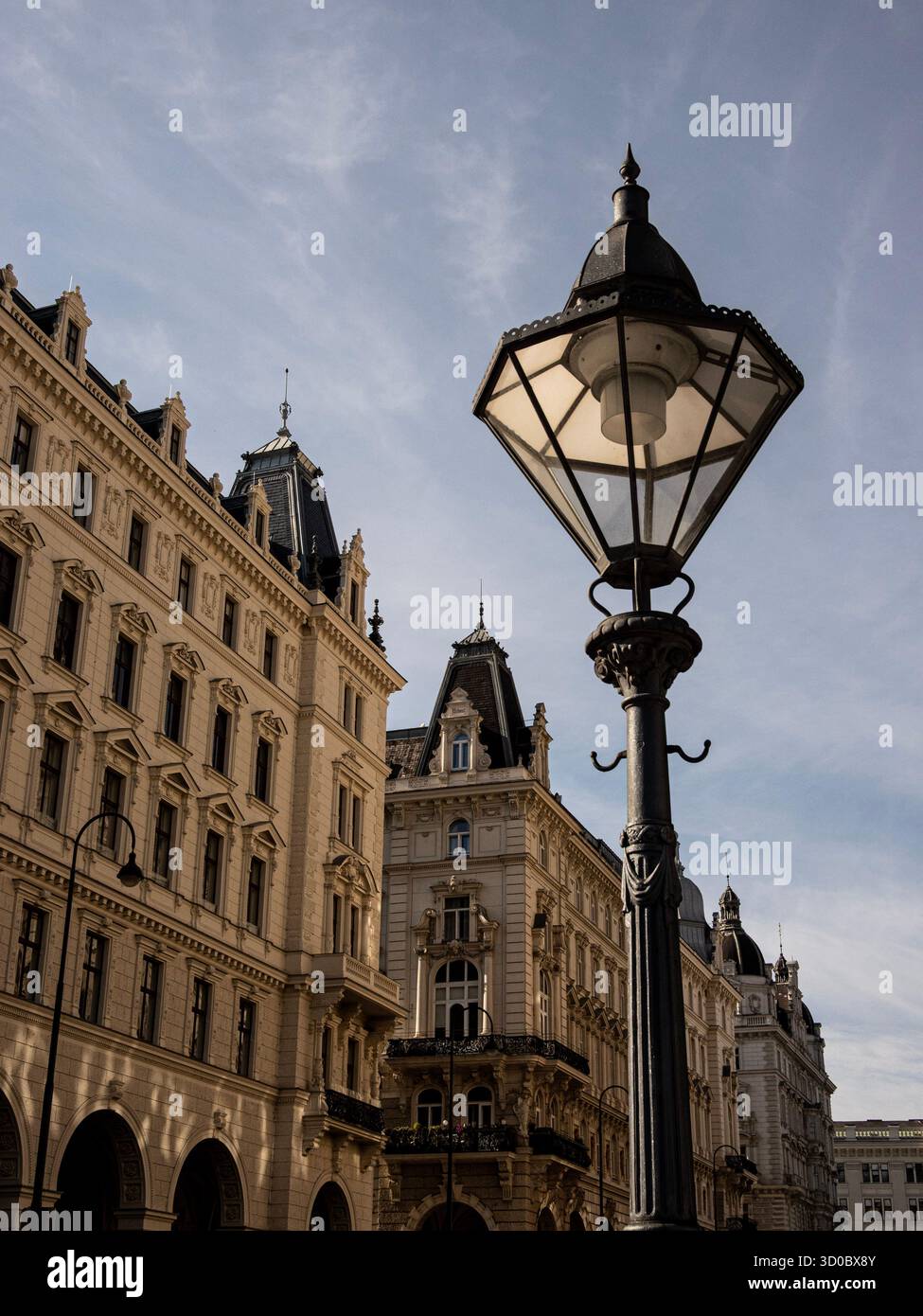 Captures an iron viennese street lamp against a background of viennese ...