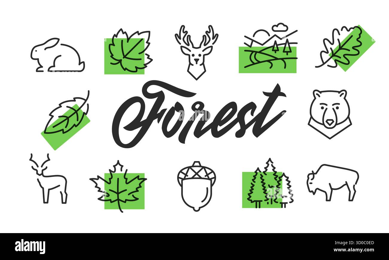 Forest Poster. Vector Illustration Stock Vector Image & Art - Alamy