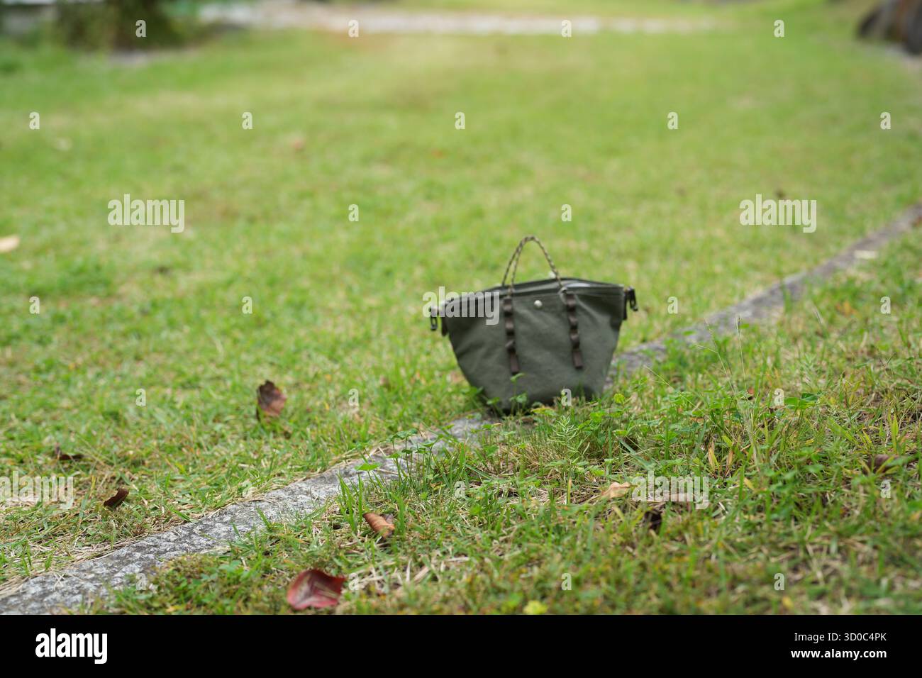A small green purse is sitting on the grass. The purse is on a sidewalk ...