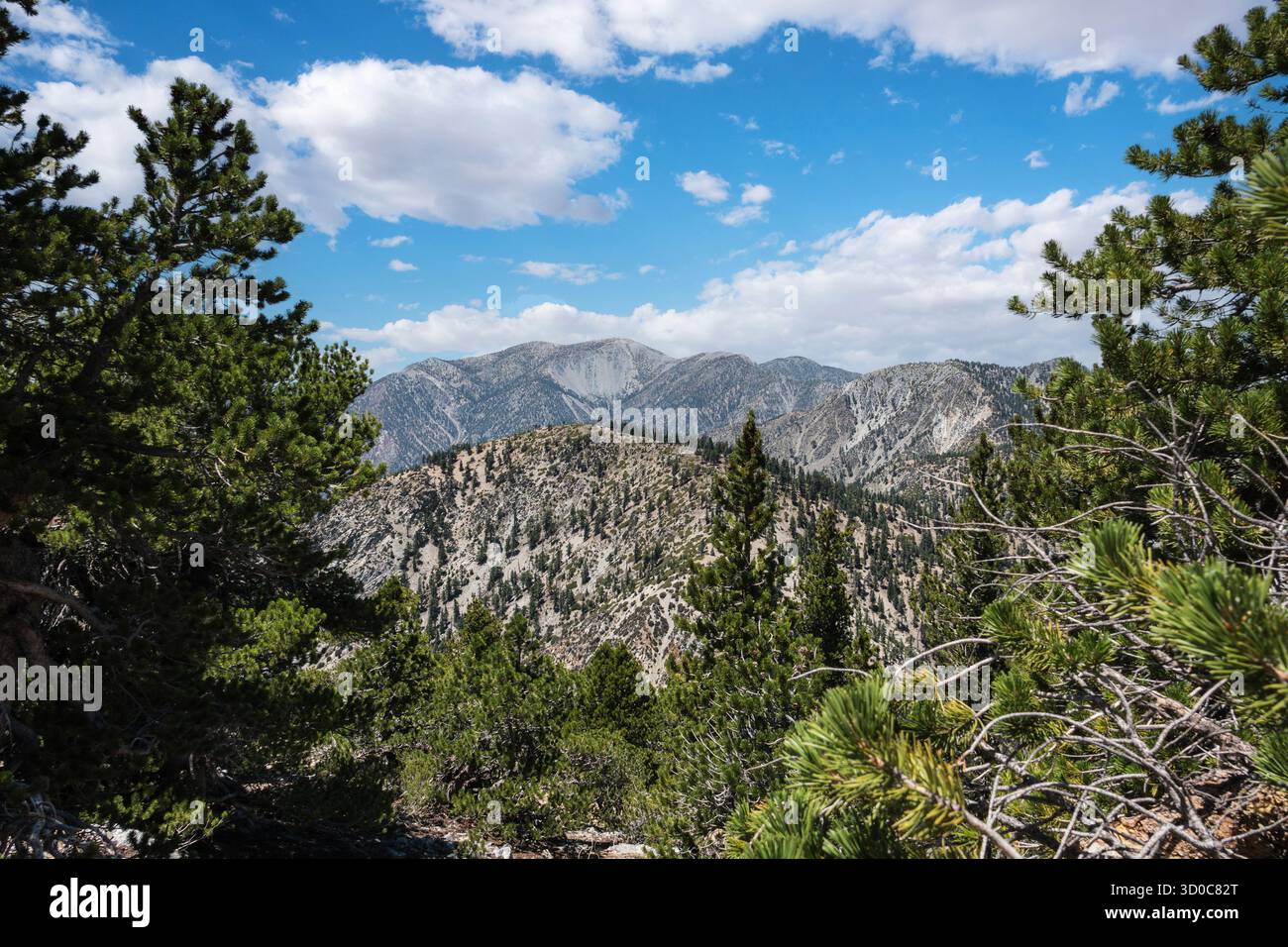 View towards Mt Baldy in the San Gabriel Mountains near Ontario and Los ...