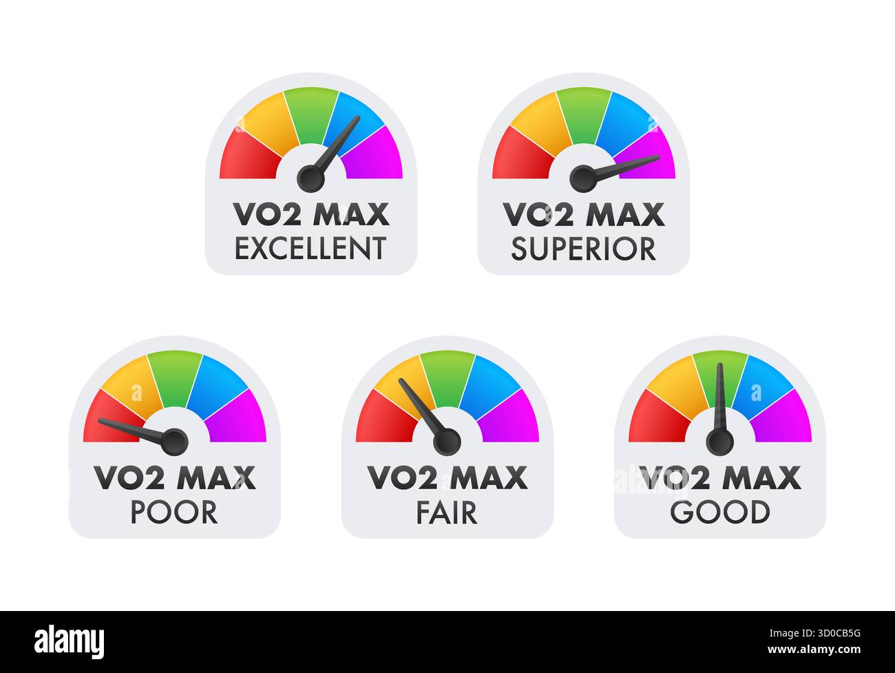 Assessment exercise Stock Vector Images - Alamy