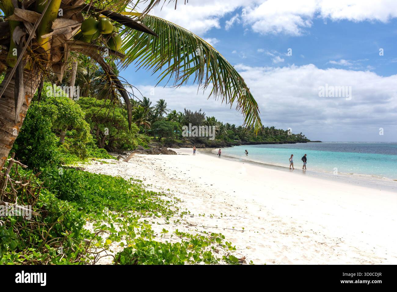 Tropical beach, Luecila Beach, Lifou Island, New Caledonia (Nouvelle ...