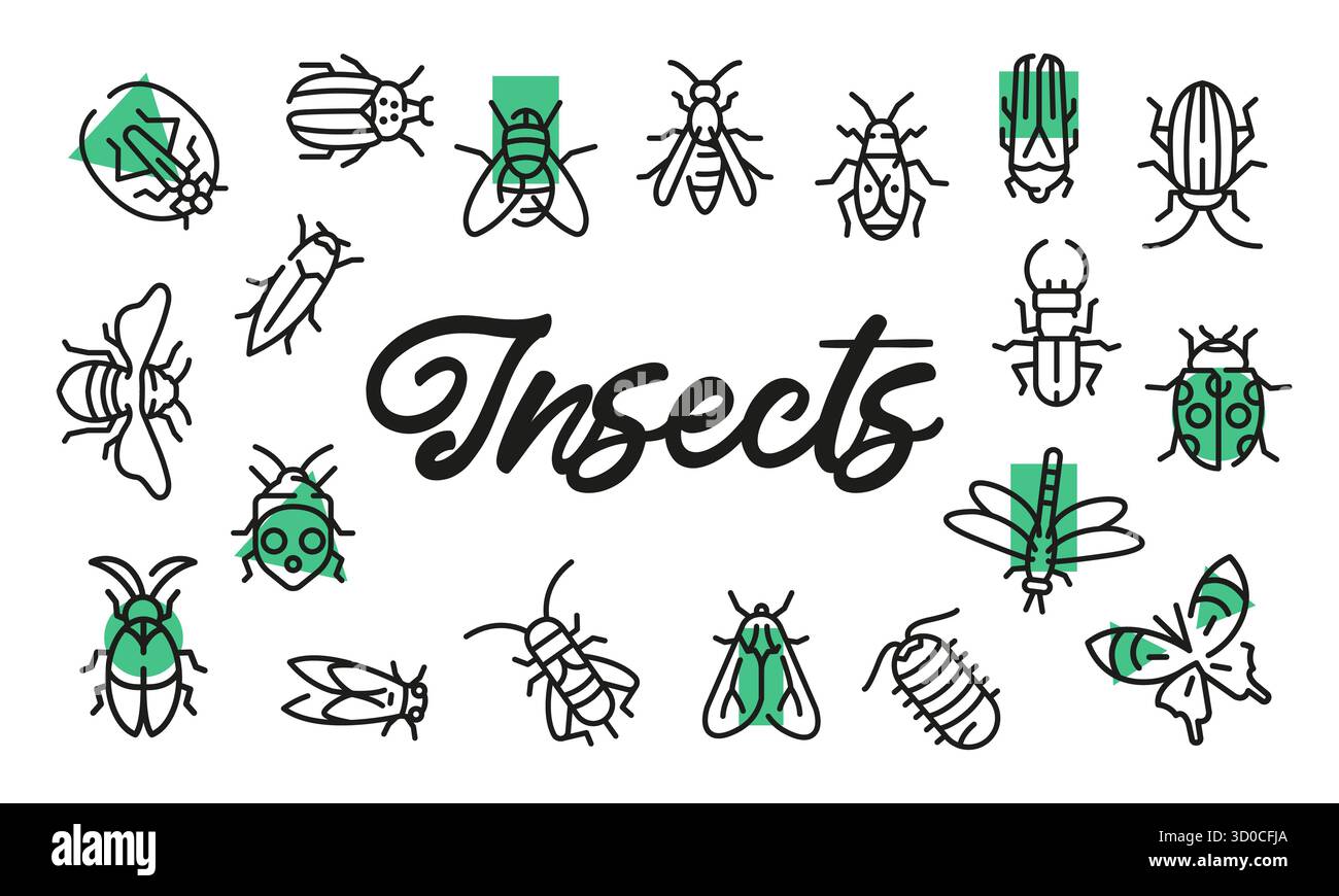 Small species of dragonfly Stock Vector Images - Alamy