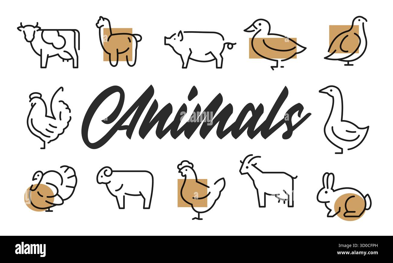 Animals Poster. Vector Illustration Stock Vector Image & Art - Alamy