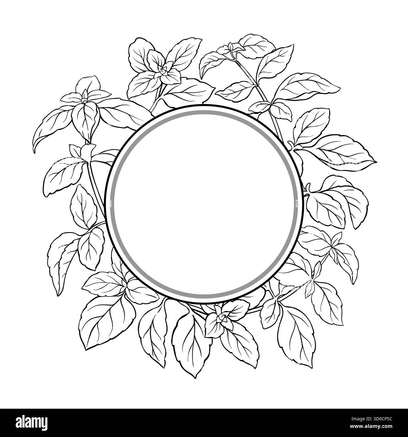 Basil Branch with Leaves Outline Round Frame. Organic natural ...