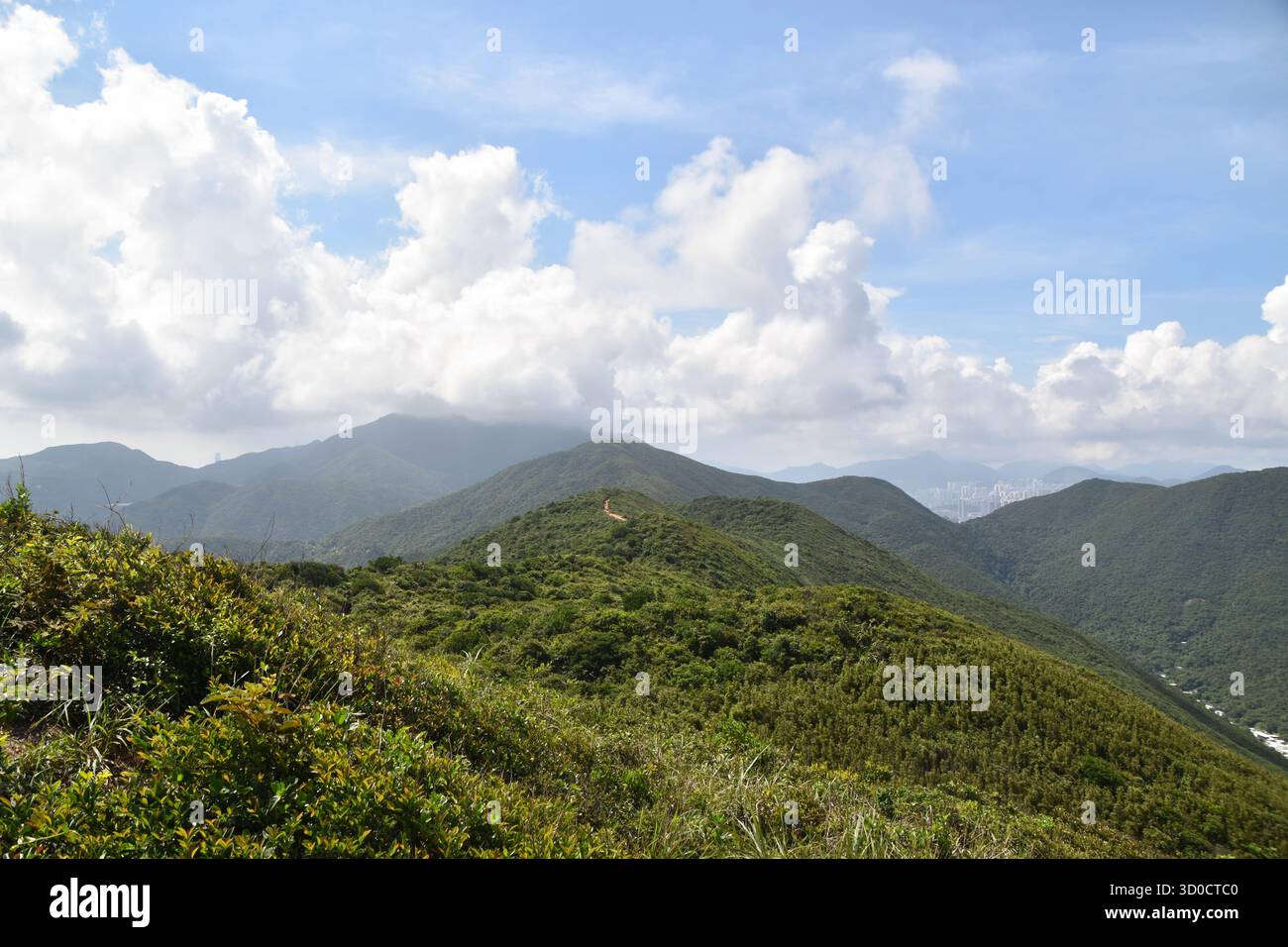 The Dragon's Back hiking trail in Hong Kong with verdant green ...