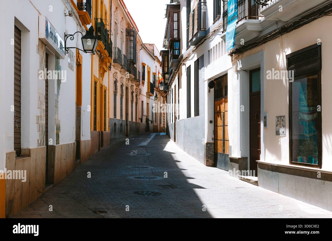 Cobblestone street winding through old town cordoba with traditional ...