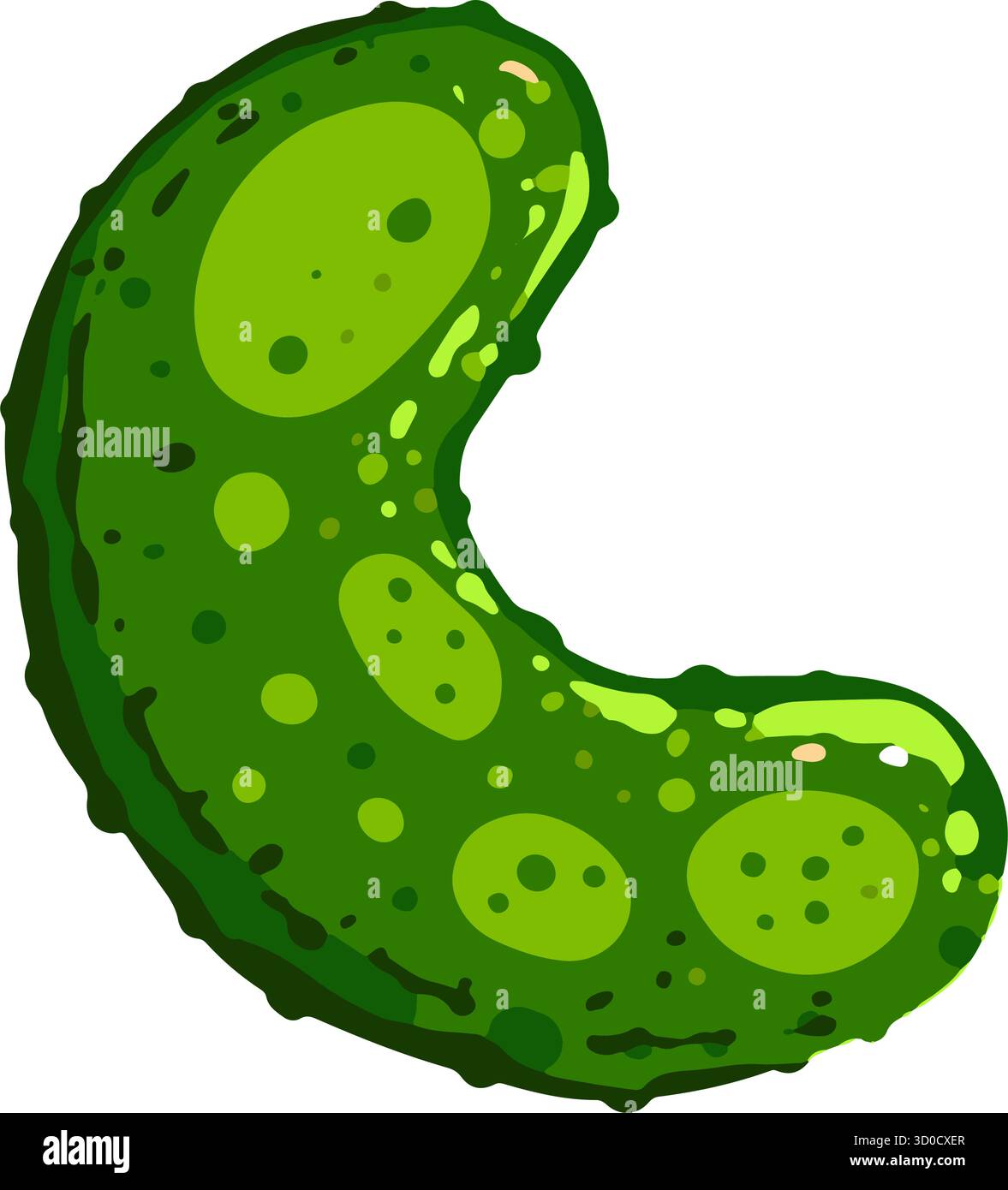 Vector illustration of a green cucumber with texture details. Hand ...