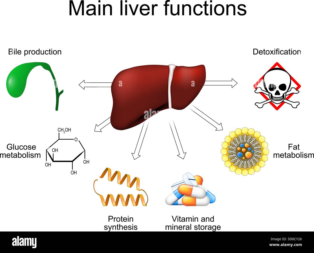 Functions vector vectors hi-res stock photography and images - Alamy