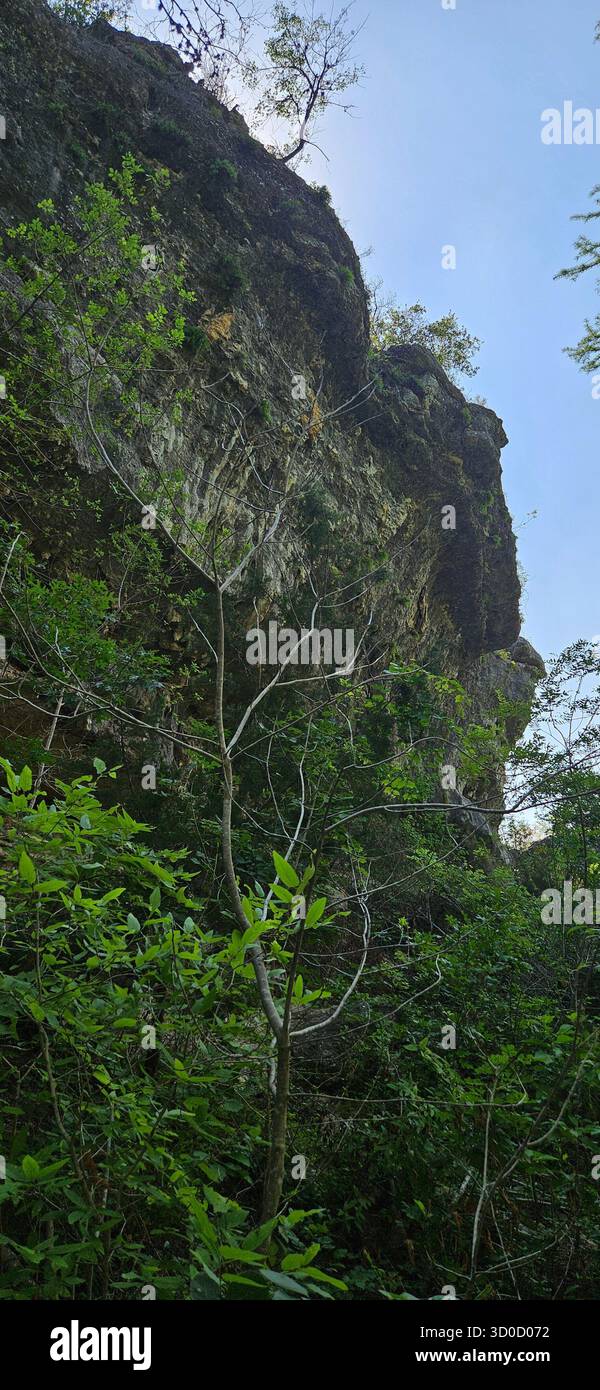 Scenic trail hamilton pool hi-res stock photography and images - Alamy