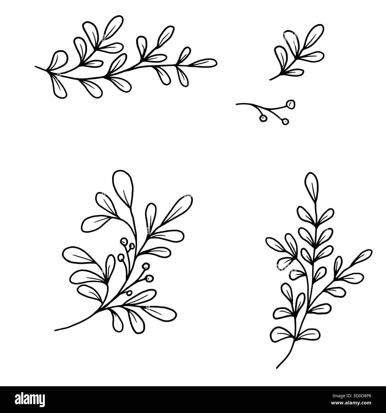 Graceful twigs black and white sketch. Vector illustration. Floral ...