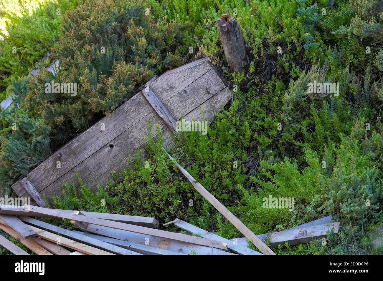 Prop for halloween ad hi-res stock photography and images - Alamy