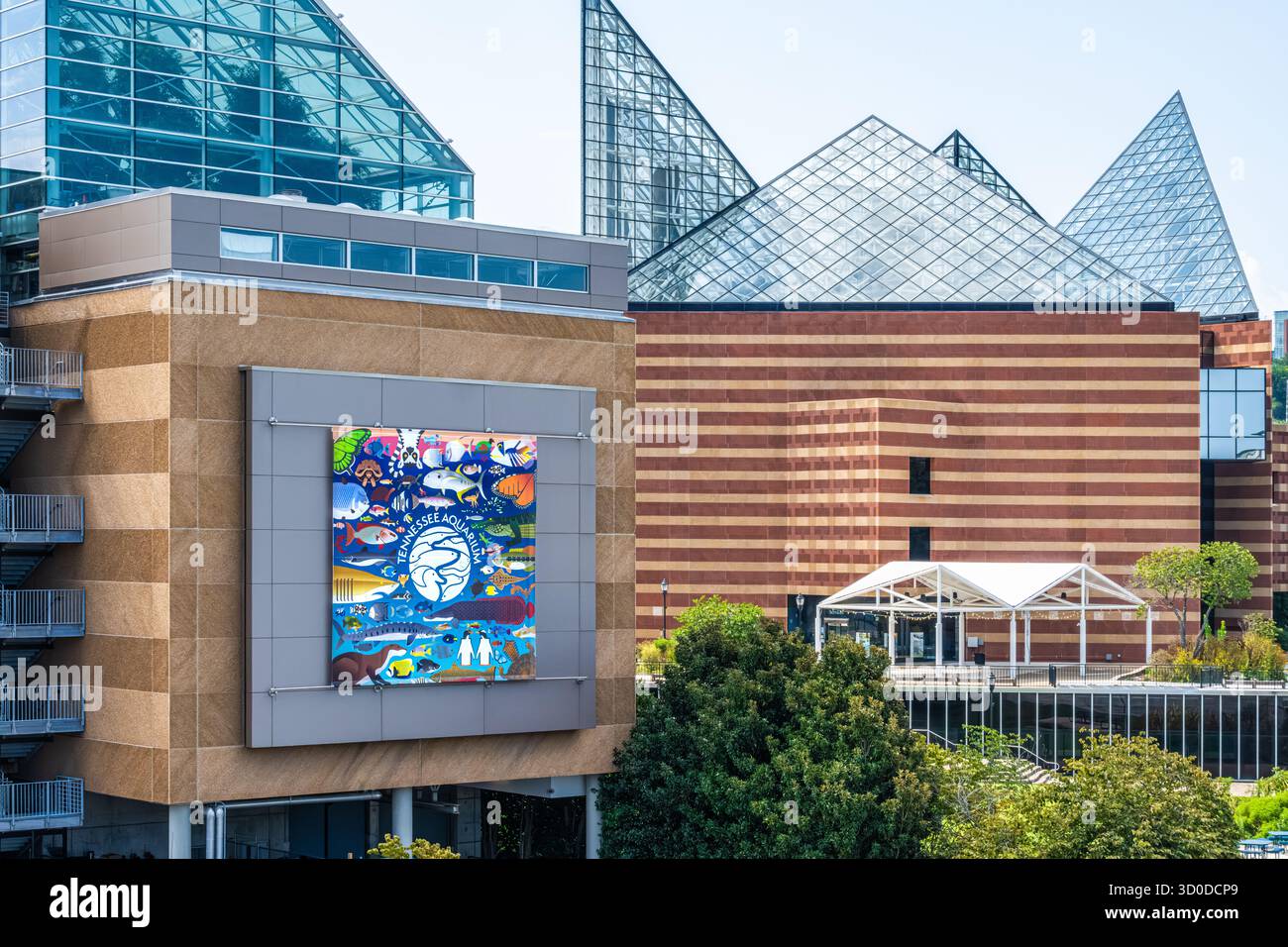 The Tennessee Aquarium's Ocean Journey and River Journey buildings along the Tennessee River in ...