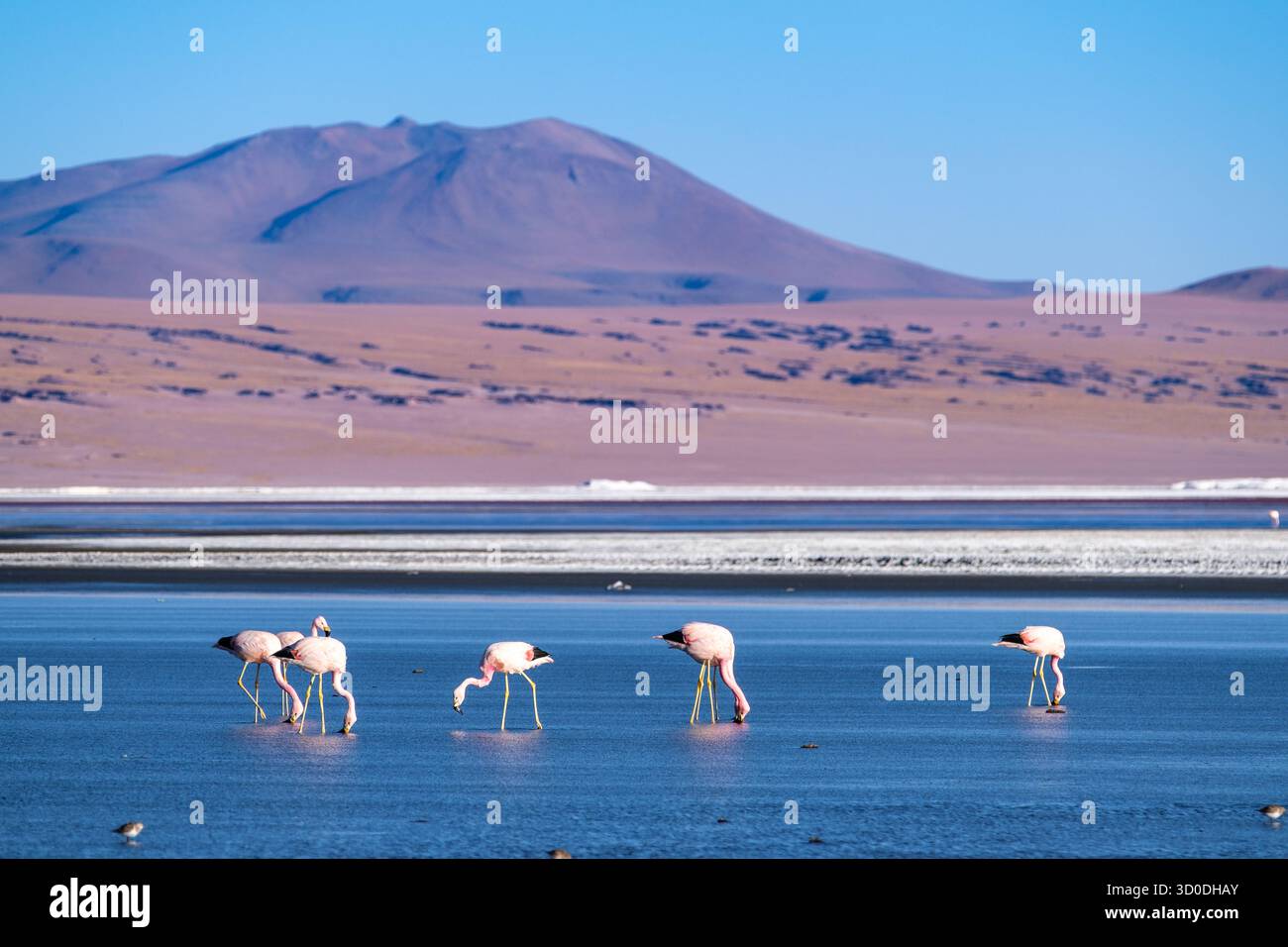 Landscapes and local people in Bolivia – nature, culture, and daily ...