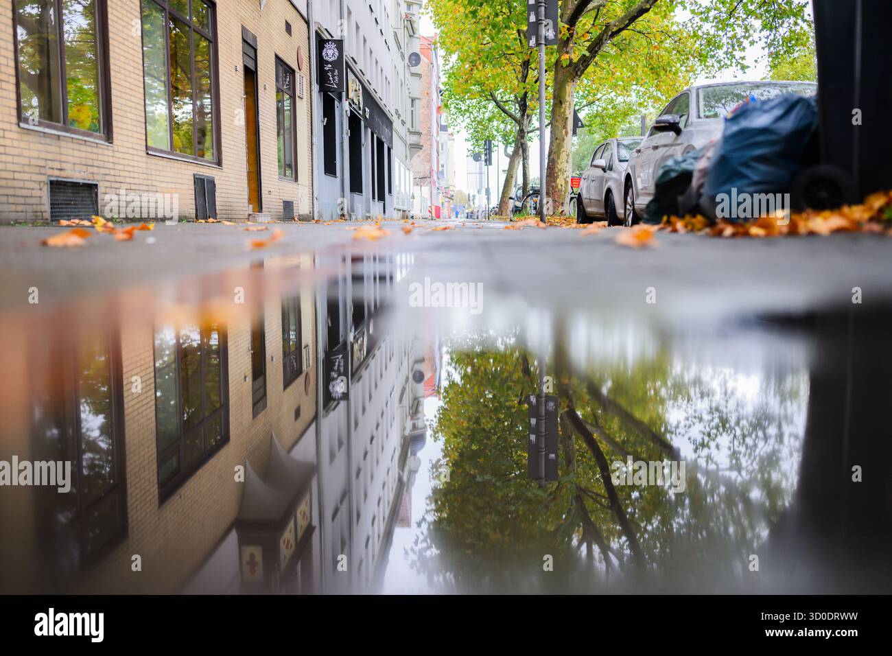23 October 2025, Lower Saxony, Hanover: View of a crime scene on ...