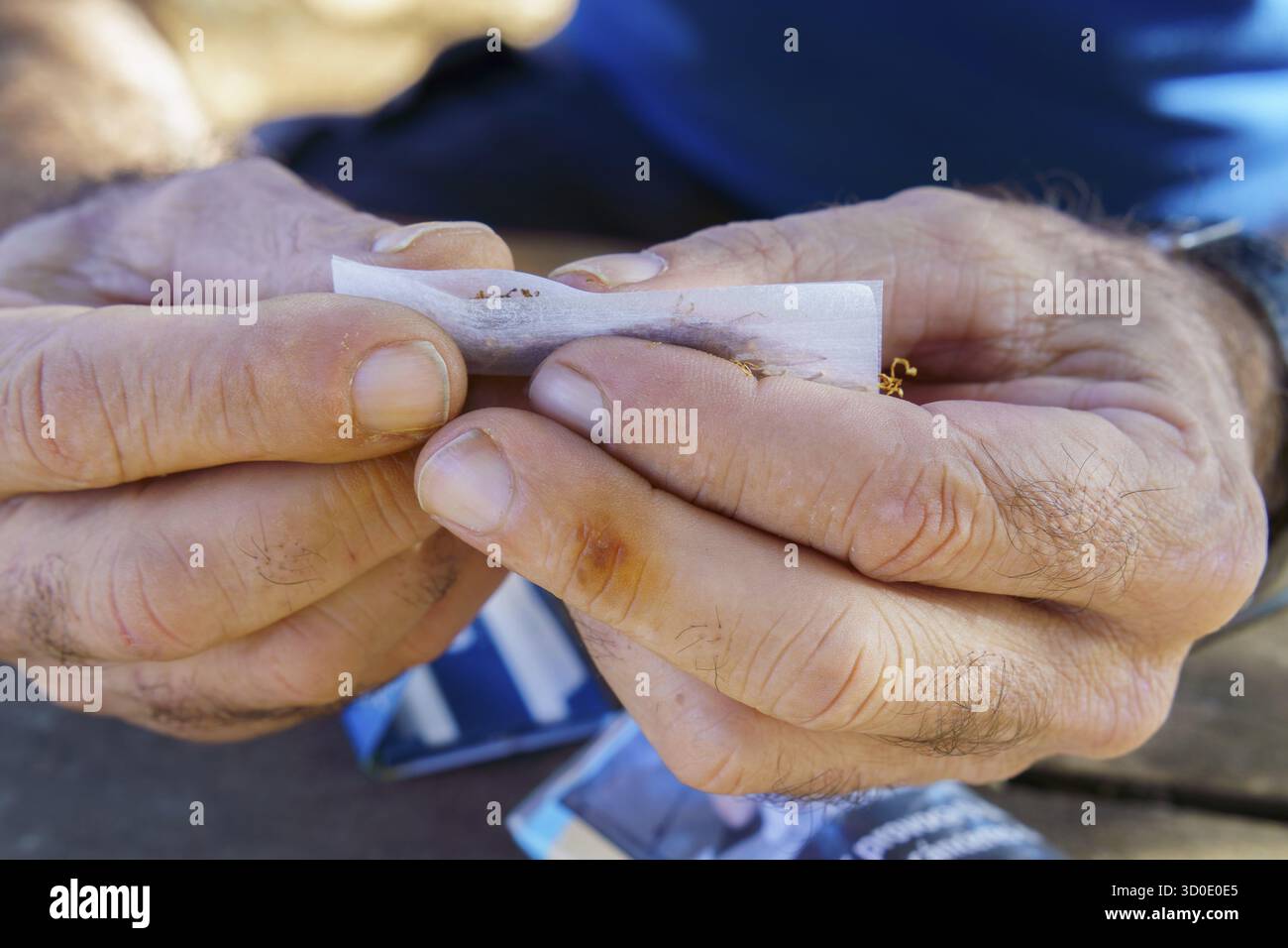Close-up of hands with yellow stained fingers rolling tobacco into a ...