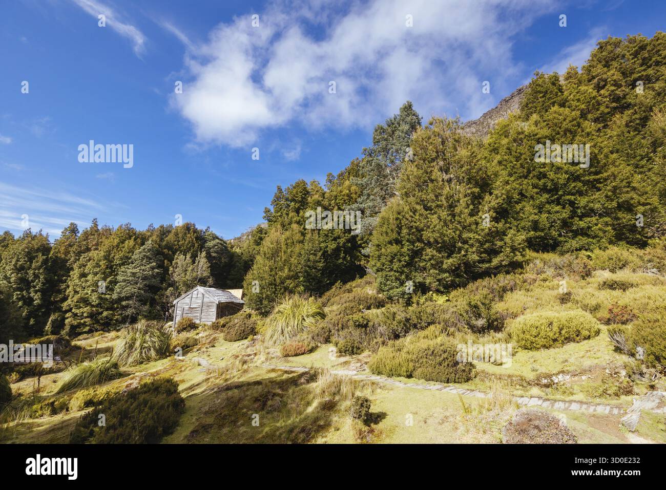 Iconic Du Cane Hut built by Patrick Joseph â€˜Paddy' Hartnett on the ...