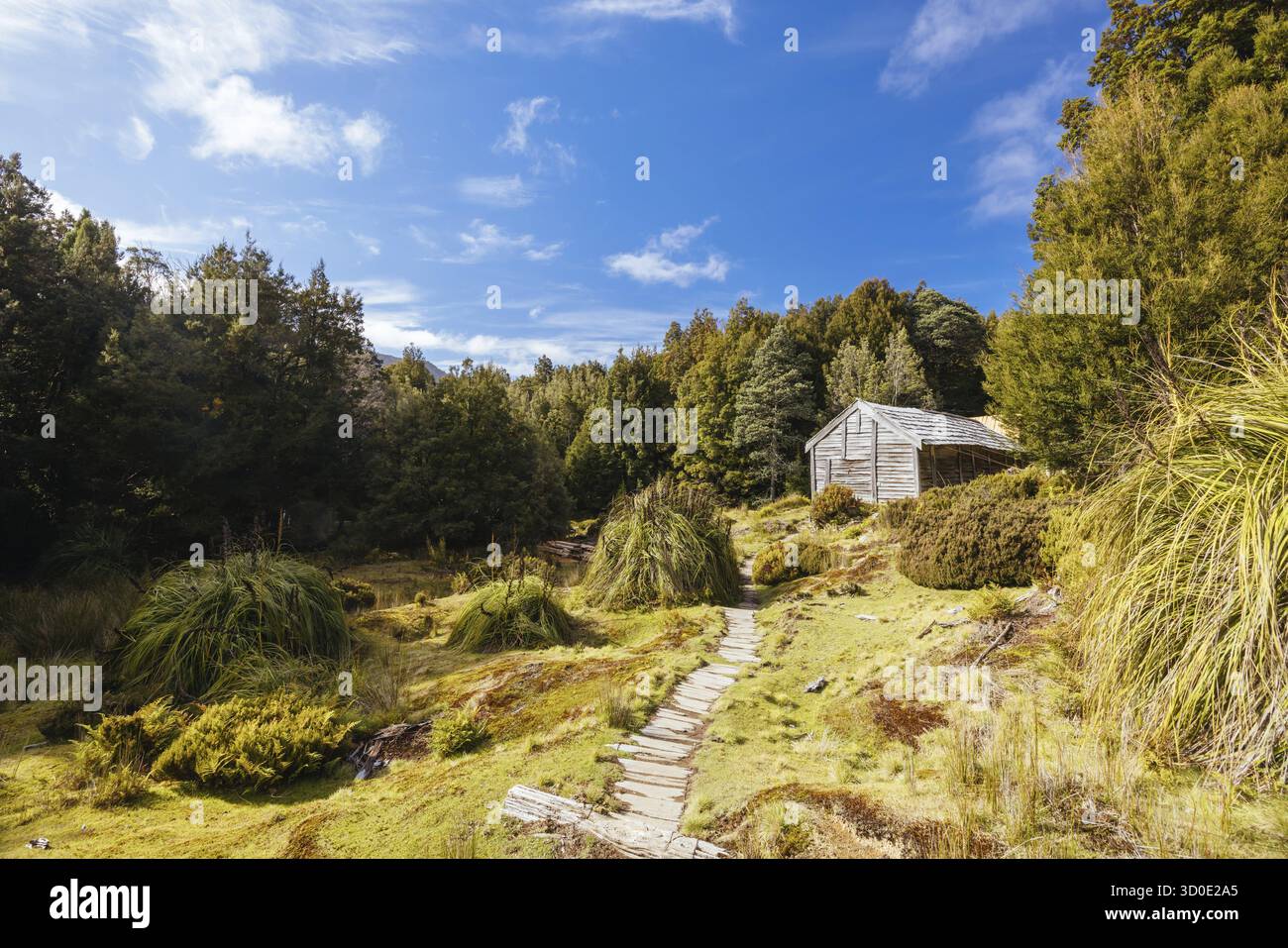 Patrick joseph hi-res stock photography and images - Alamy