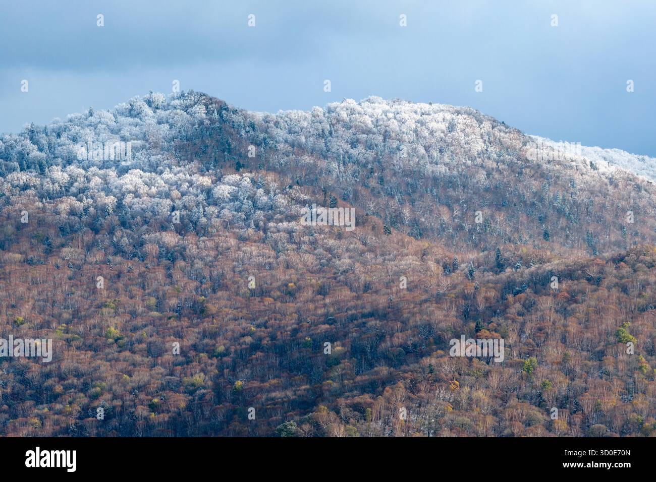 Autumn scenery at the Fenghuangshan National Forest Park in Harbin City ...