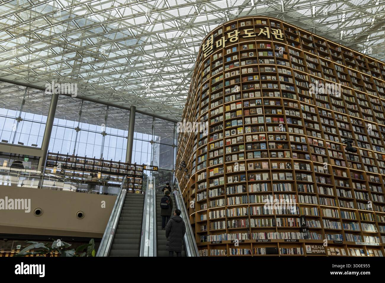 Coex mall starfield library taken during christmas season with the ...