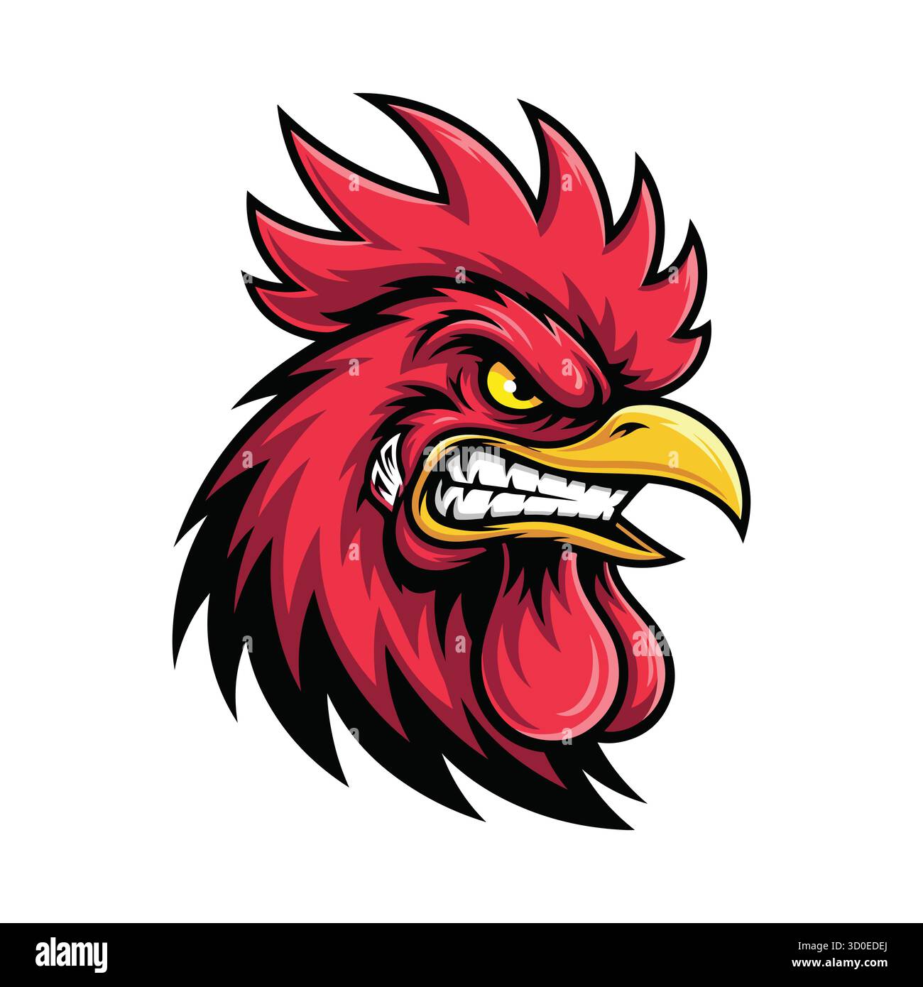 Close up black rooster Cut Out Stock Images & Pictures - Alamy