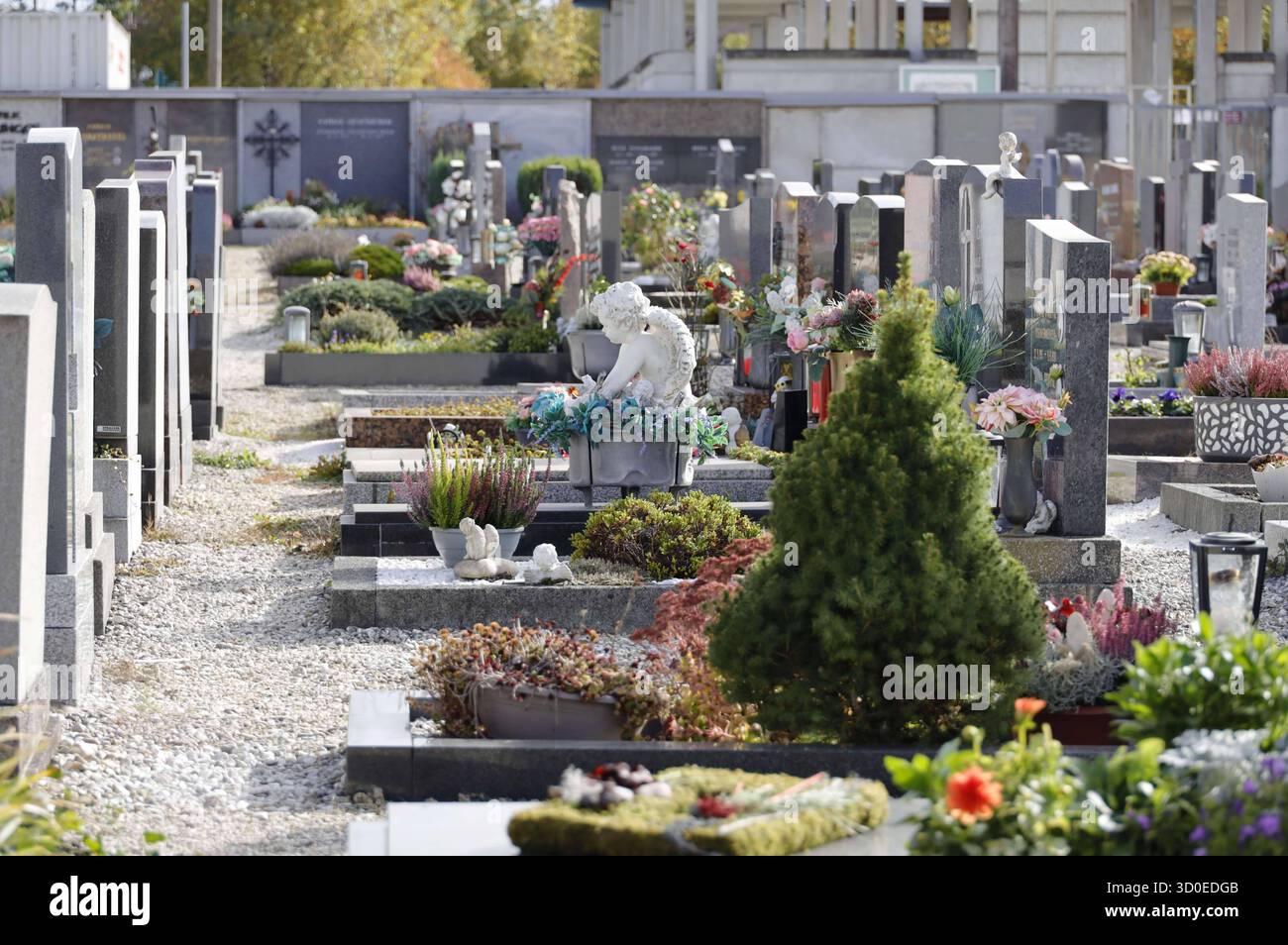 23.10.2025, Handenberg, AUT, Unterwegs in Oberösterreich, Themenbild ...