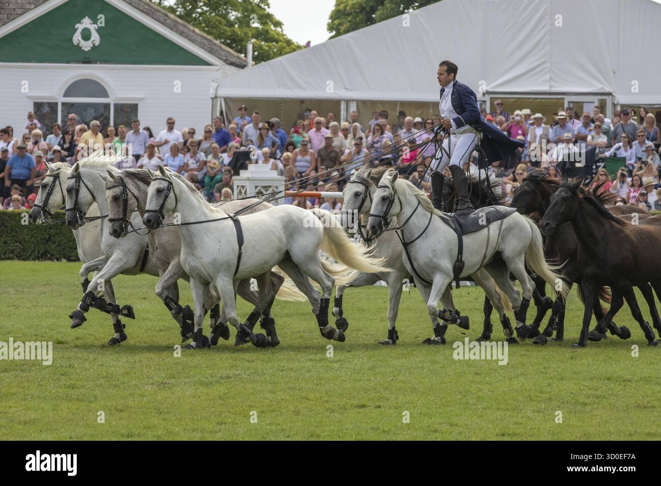 Harrogate, North Yorkshire, UK - July 12th, 2018: French horse trainer ...