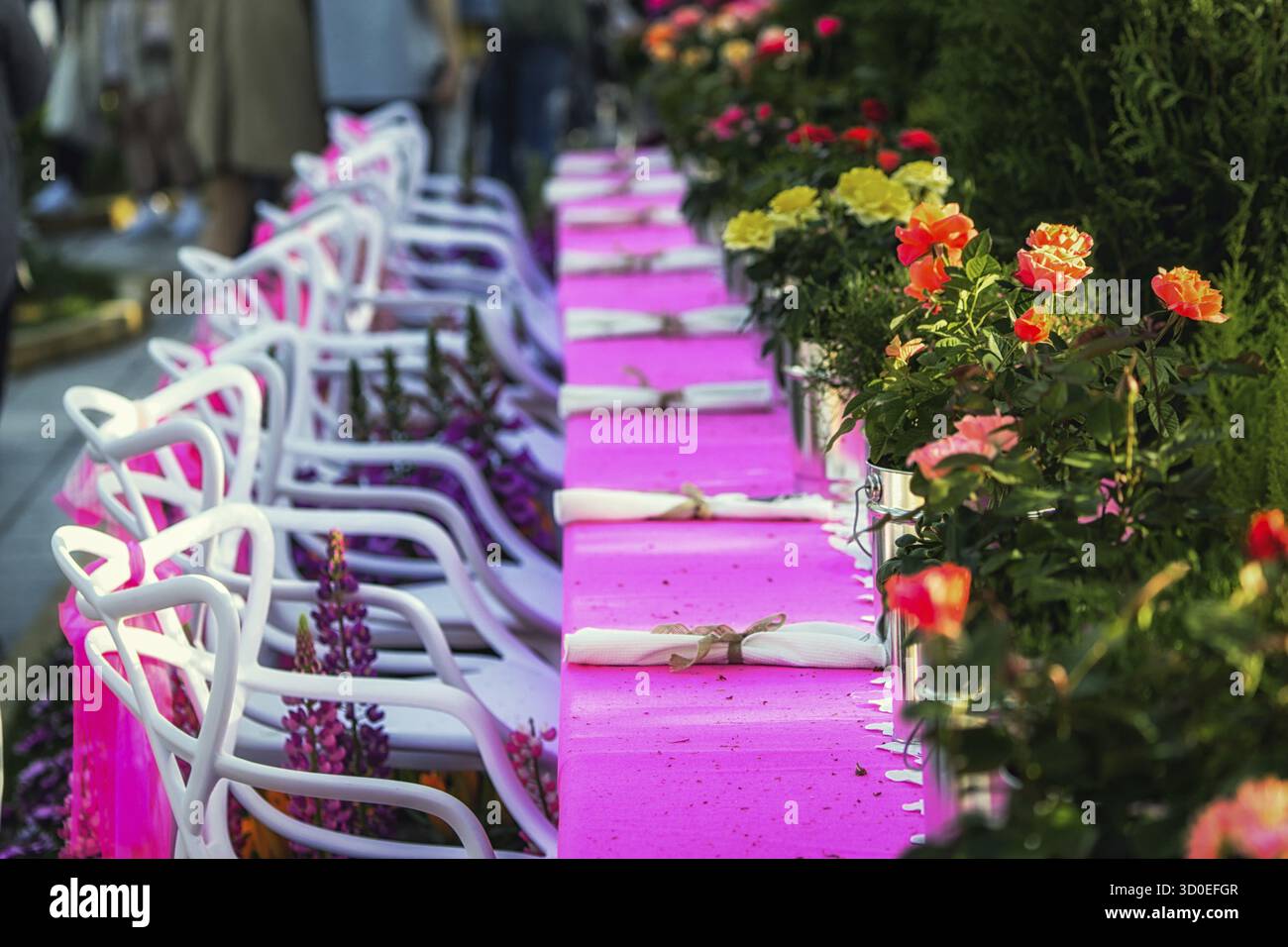 Flower banquet setup with pink tables and roses in goyang flower ...