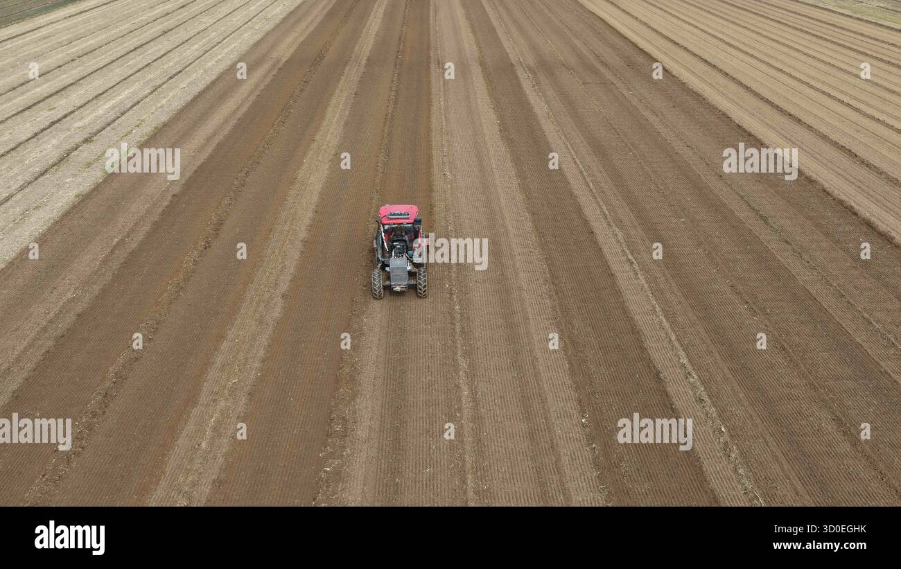 Aerial photo shows farmers working in the field in Liaocheng City, east ...