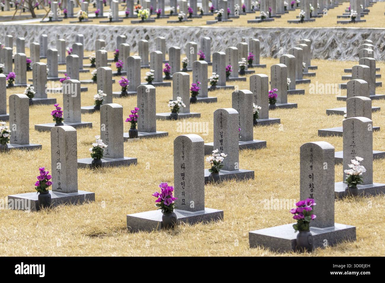 Granite gravestones with commemorable flowers in seoul national ...