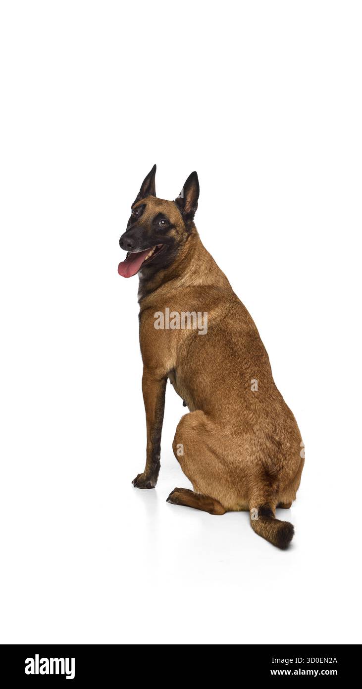 Gentle posture Cut Out Stock Images & Pictures - Alamy