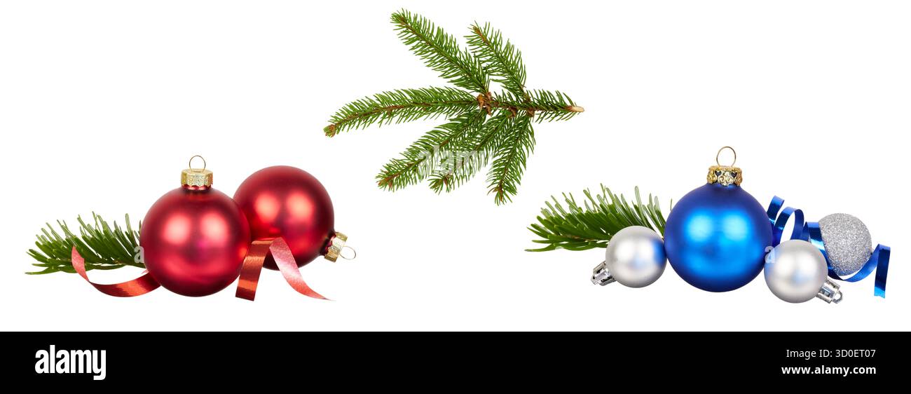 Spruce branch on colored Cut Out Stock Images & Pictures - Alamy