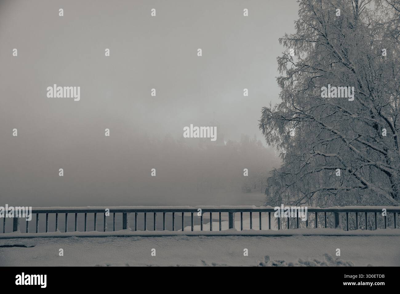 Foggy winter morning with snow-covered trees and a church barely ...