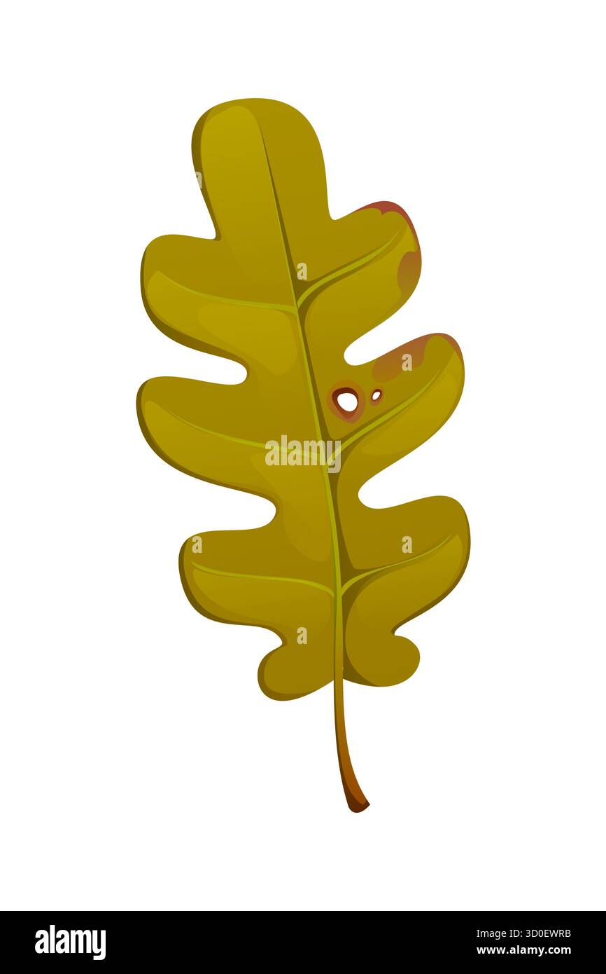 Cartoon autumn oak leaf in green and brown shades with subtle veins and ...