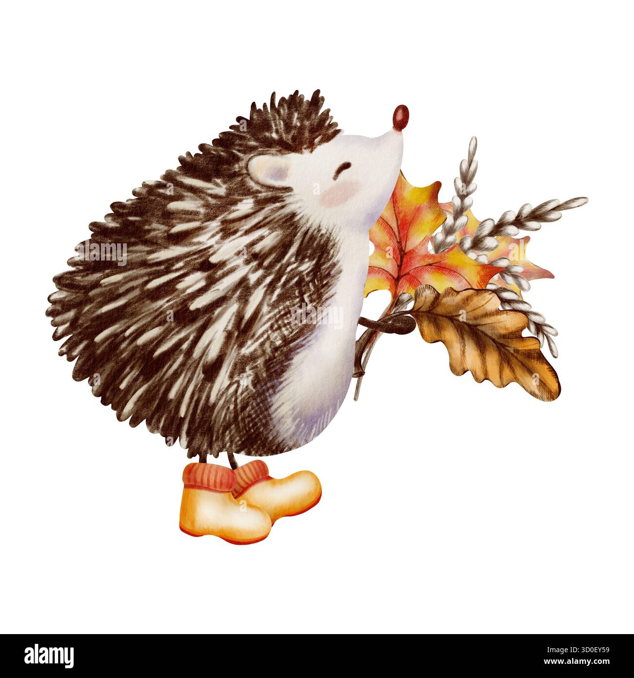 Fluffy hedgehog standing on its hind legs in orange rubber boots with ...