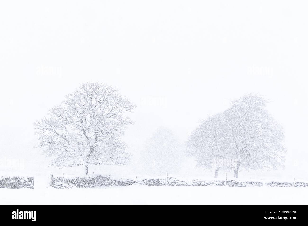 Winter agriculture farming field Cut Out Stock Images & Pictures - Alamy