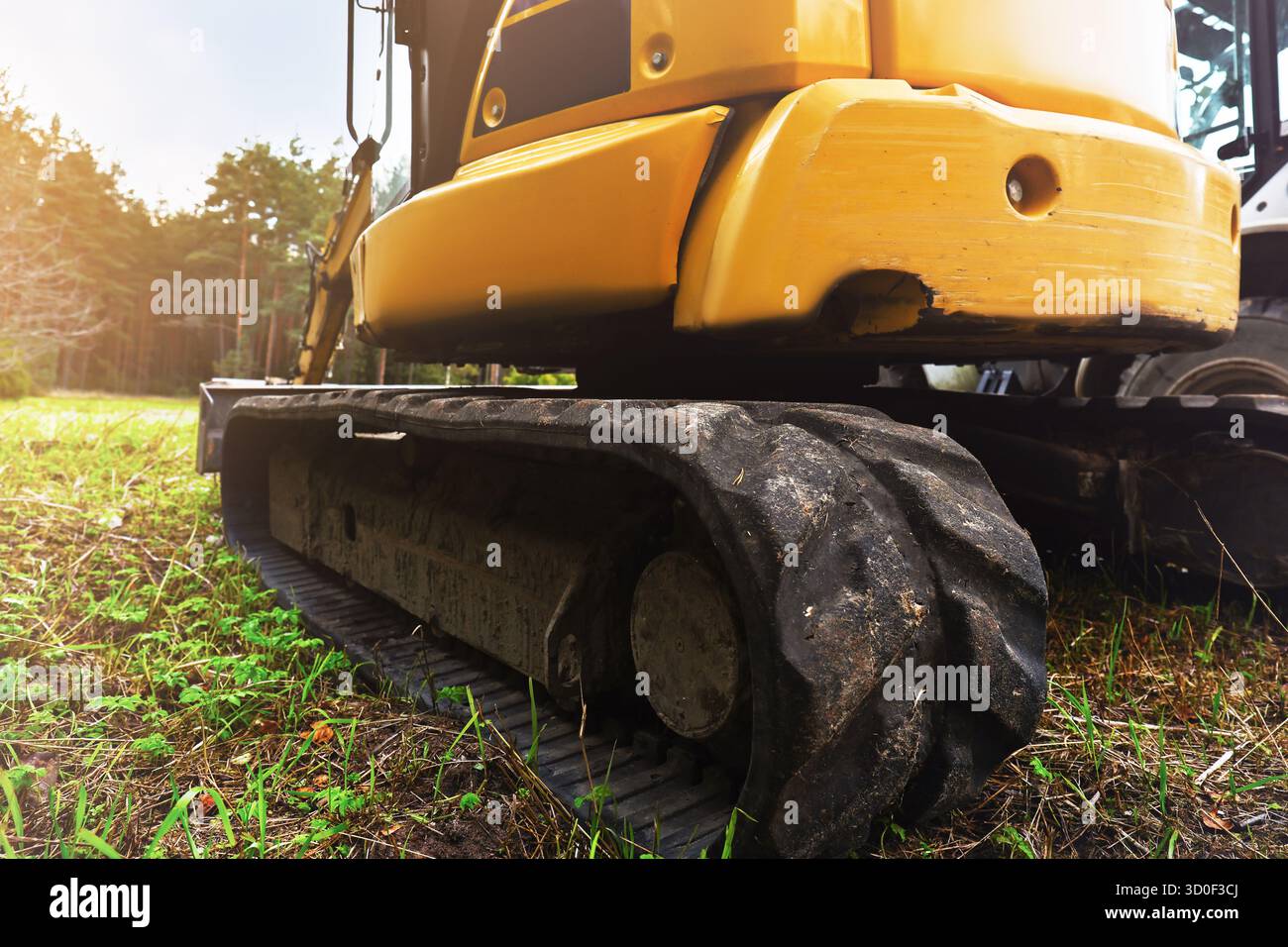 A crawler excavator stands in a forest, illuminated by bright sunlight ...