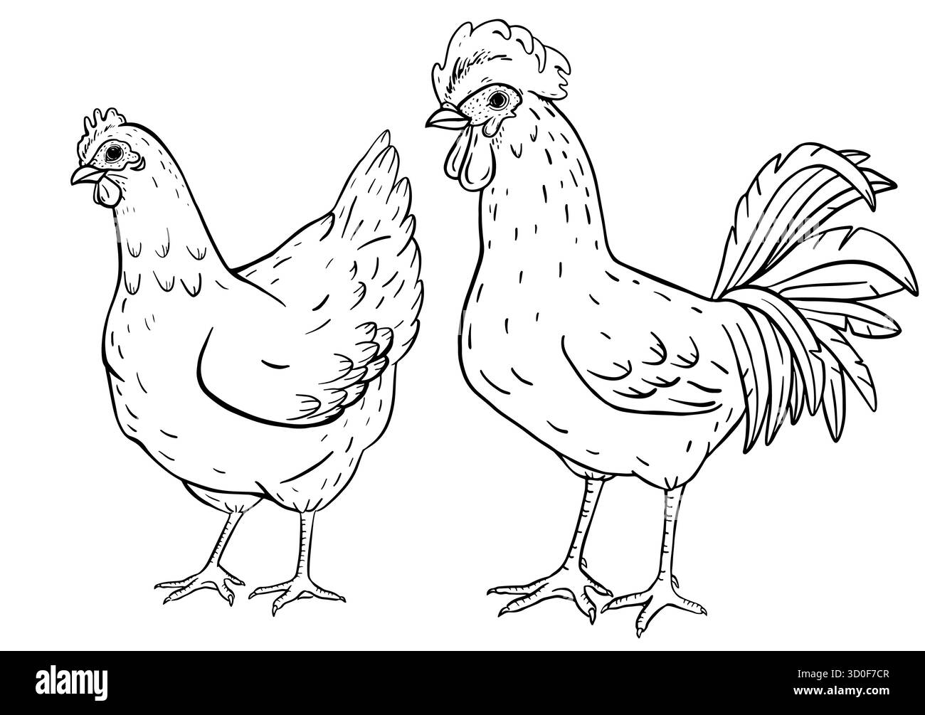 Chicken farm in countryside outdoor Black and White Stock Photos ...