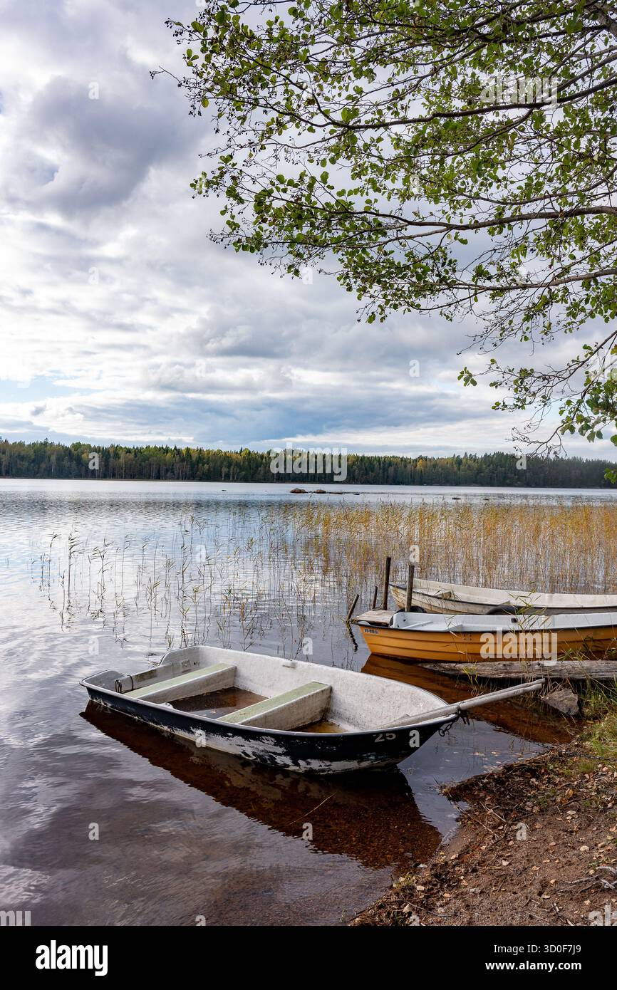 Small boats rowing club hi-res stock photography and images - Alamy