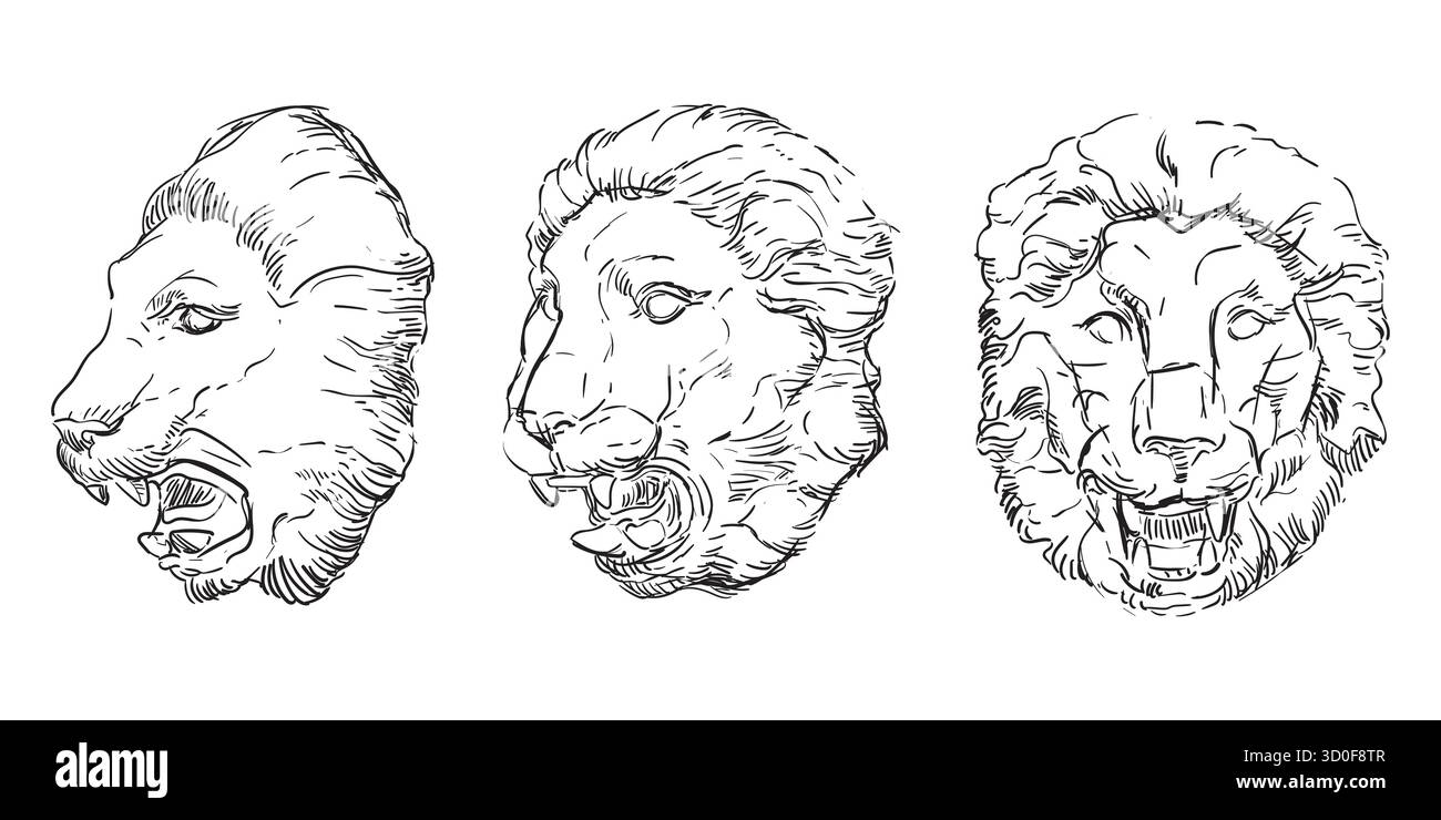 Hand drawn sketch of lion head in three camera angles. Vector retro ...